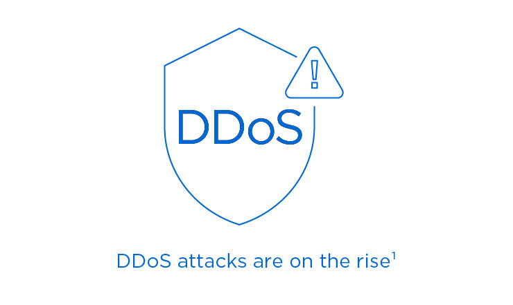 DDoS Protection | Spectrum Enterprise